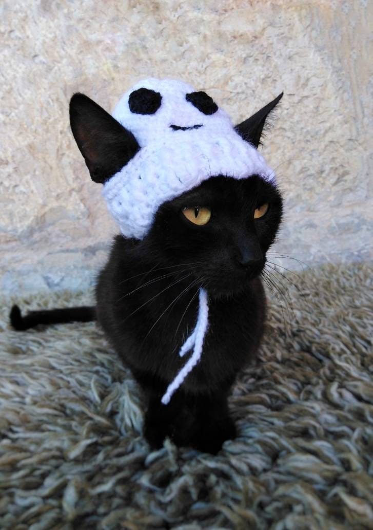 Halloween Ghost Hat for Cat Halloween Costume Hats for Cats | Etsy