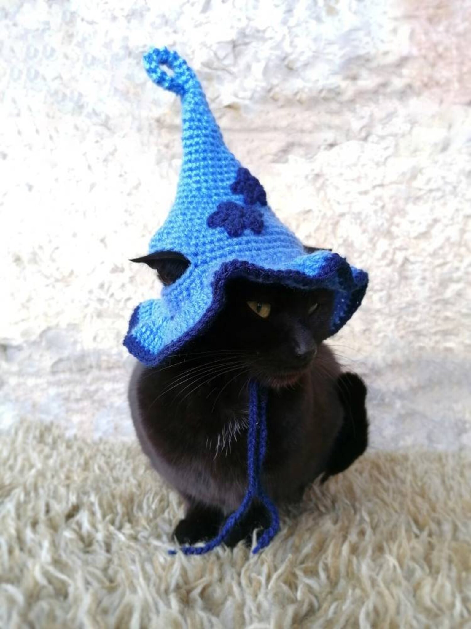 Witch Hat for Cat Blue Pet Costume Cat Halloween Costume - Etsy Canada