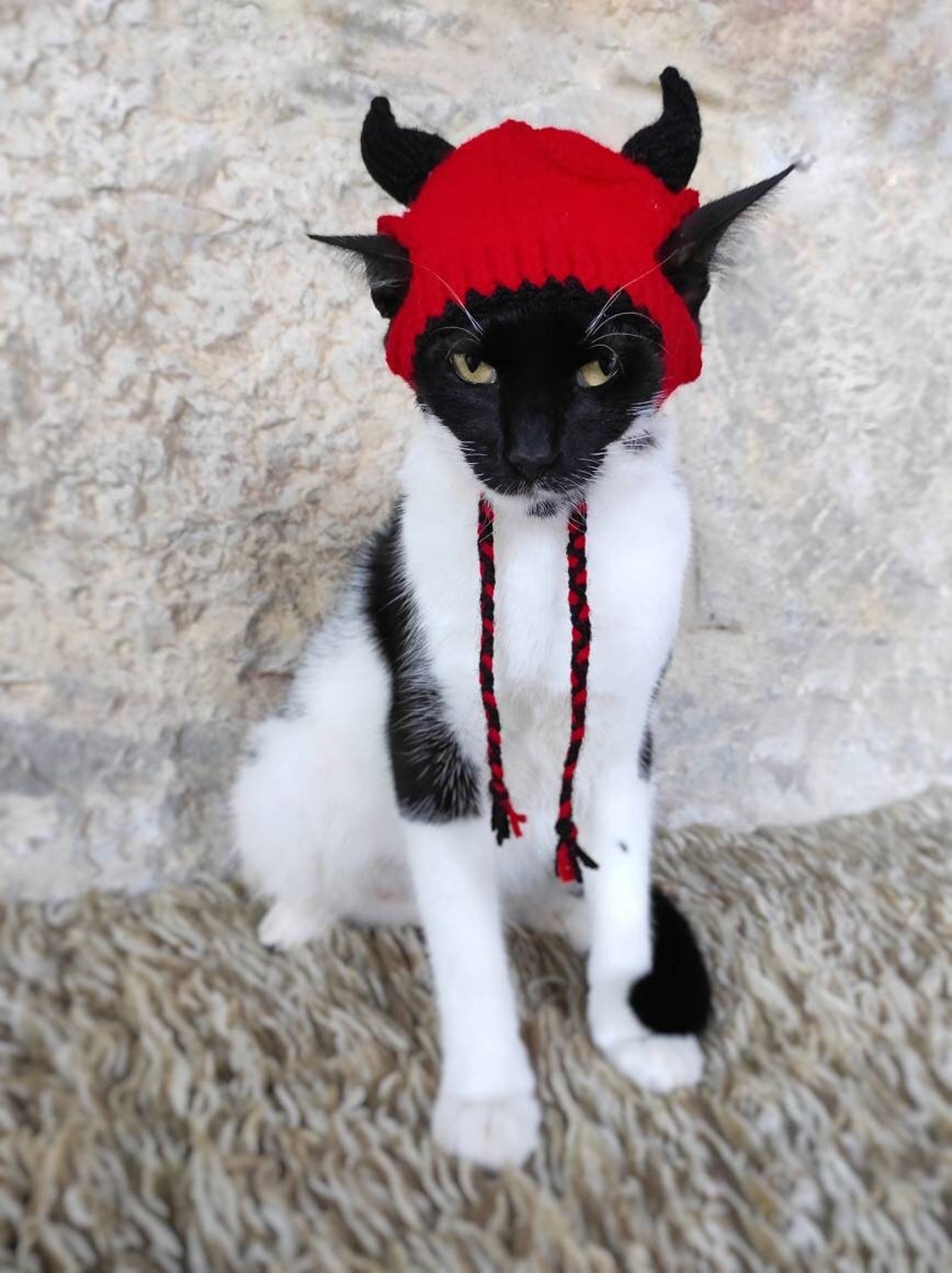 Devil Hat for Cat Devil Pet Costume Cat Outfit Feline - Etsy