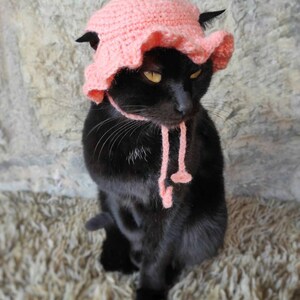 Peach Cat Hat, Crochet Peach Hat for Cat, Peach Hat for Cats, Costume ...