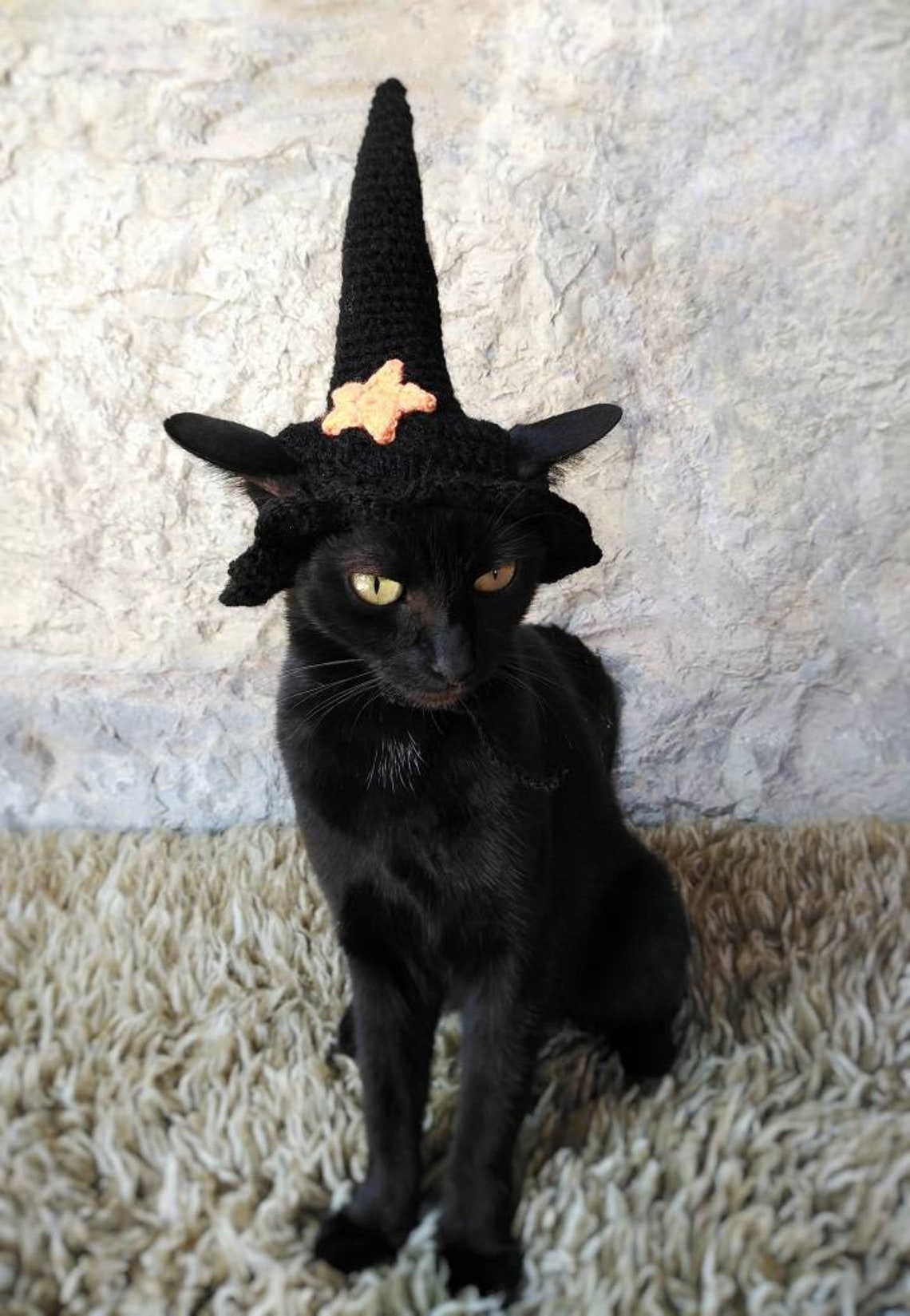 Black Witch Hat for Cat Pet Costume Cat Halloween Costume | Etsy