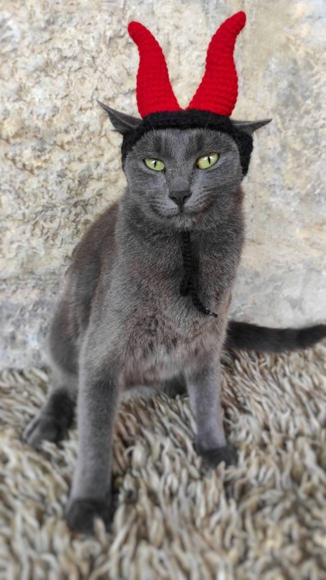 Crochet Cat Hat, Hat for Cat, Hat for Cats, Costume for Cats, Hats for ...