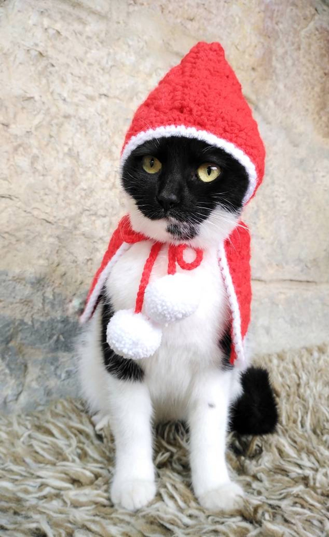 Little Red Riding Hood Cat Costume Pet Costume Cat Halloween - Etsy