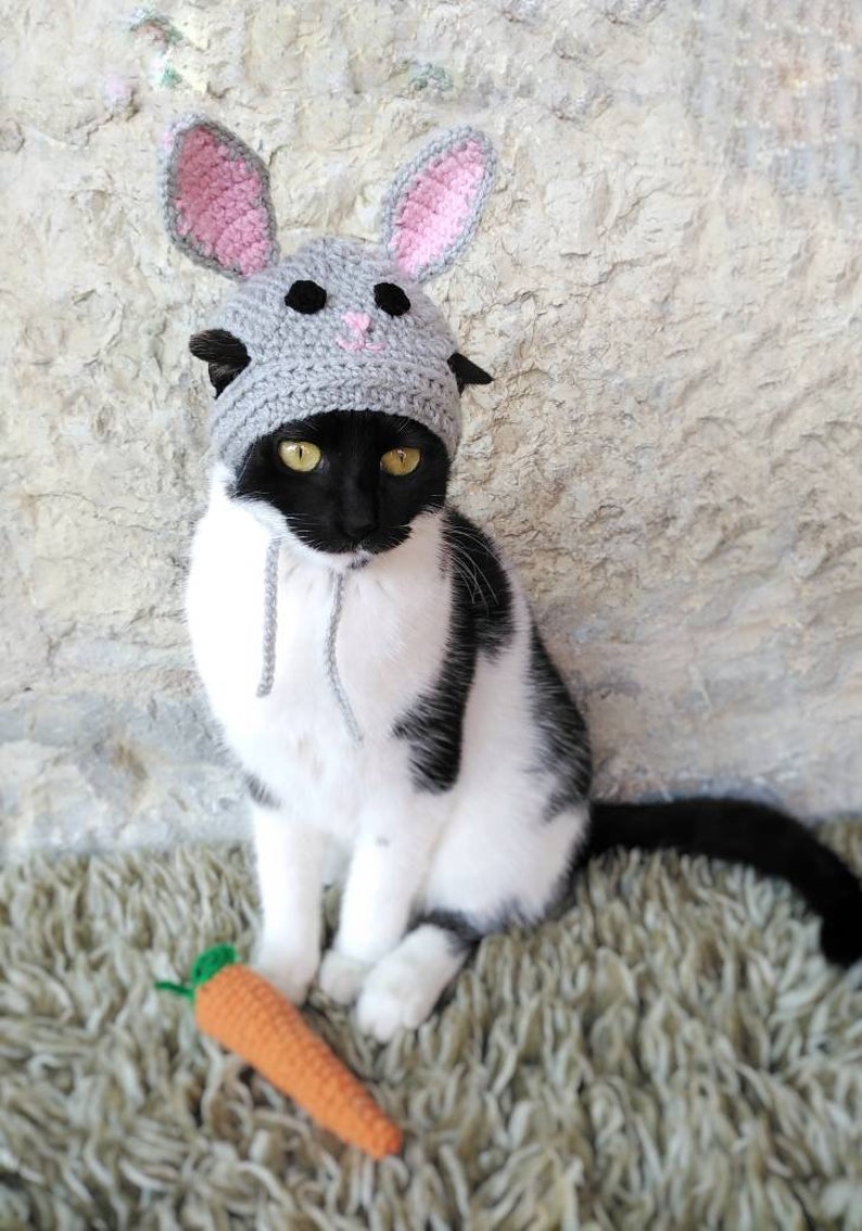 Bunny Hat For Cat and Carrot toy Easter Bunny Hats For Cats | Etsy