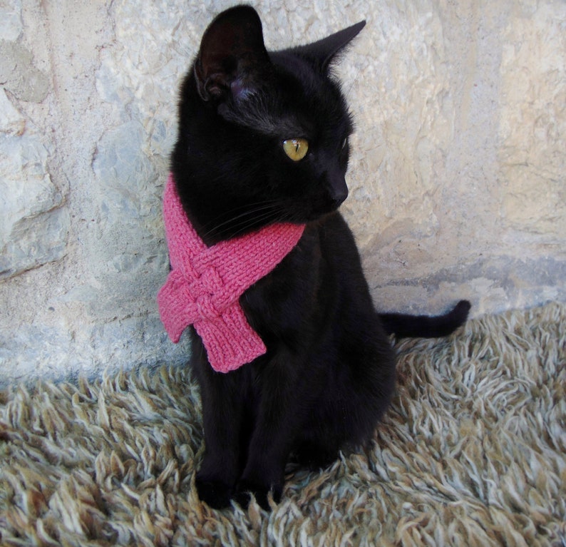 Scarf for Cat Pet Scarf Cat Accessories Kitten Outfit Gift - Etsy