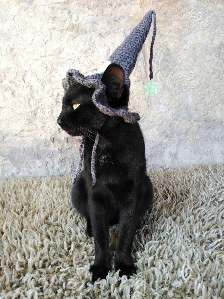Gray Witch Hat for Cat Pet Costume Cat Halloween Costume - Etsy