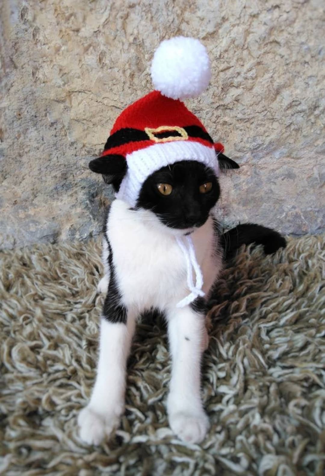 Hat for Cat,santa Cat Hat, Knitted Santa Hat for Pet, Cat Accessories ...