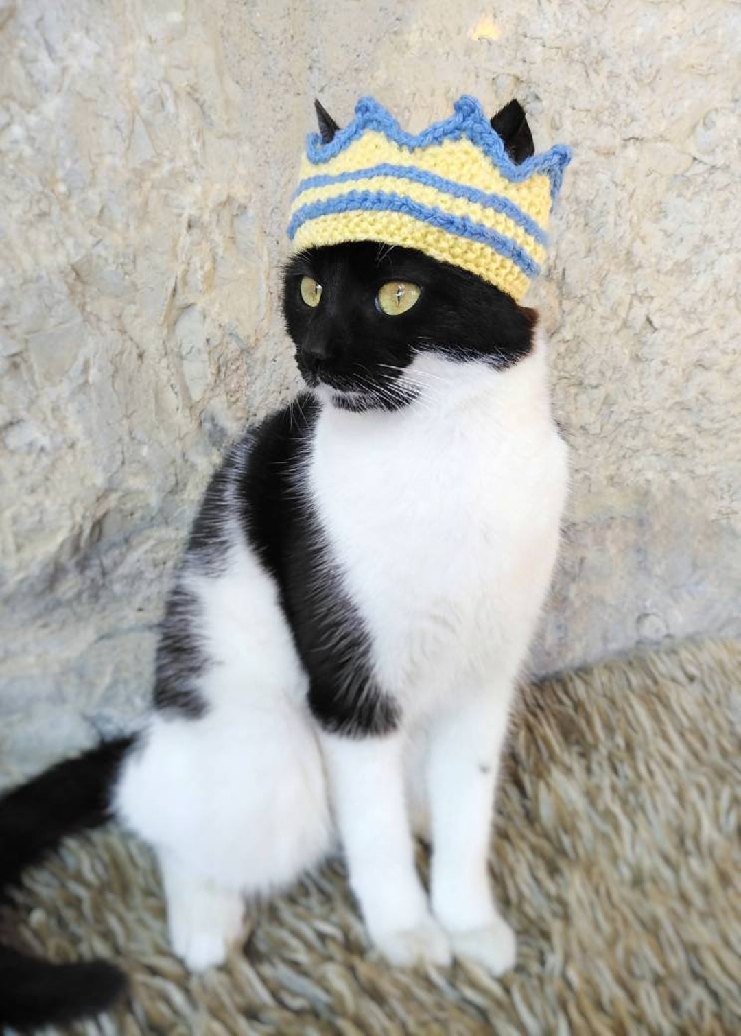 Cat Crown, Tiara for Cat, Princess, King, Queen Crown for Cats, Cat ...