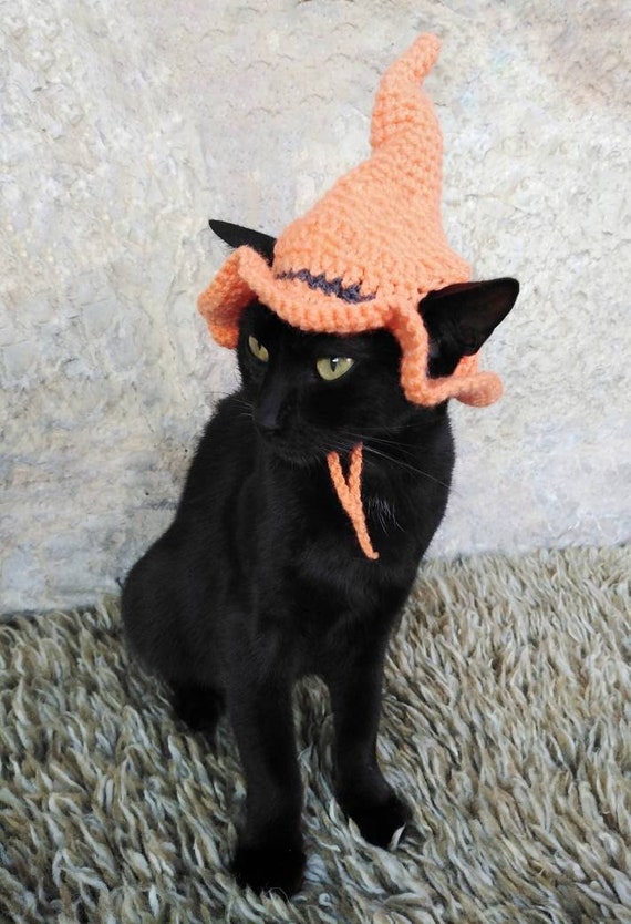 Cat Witch Costume