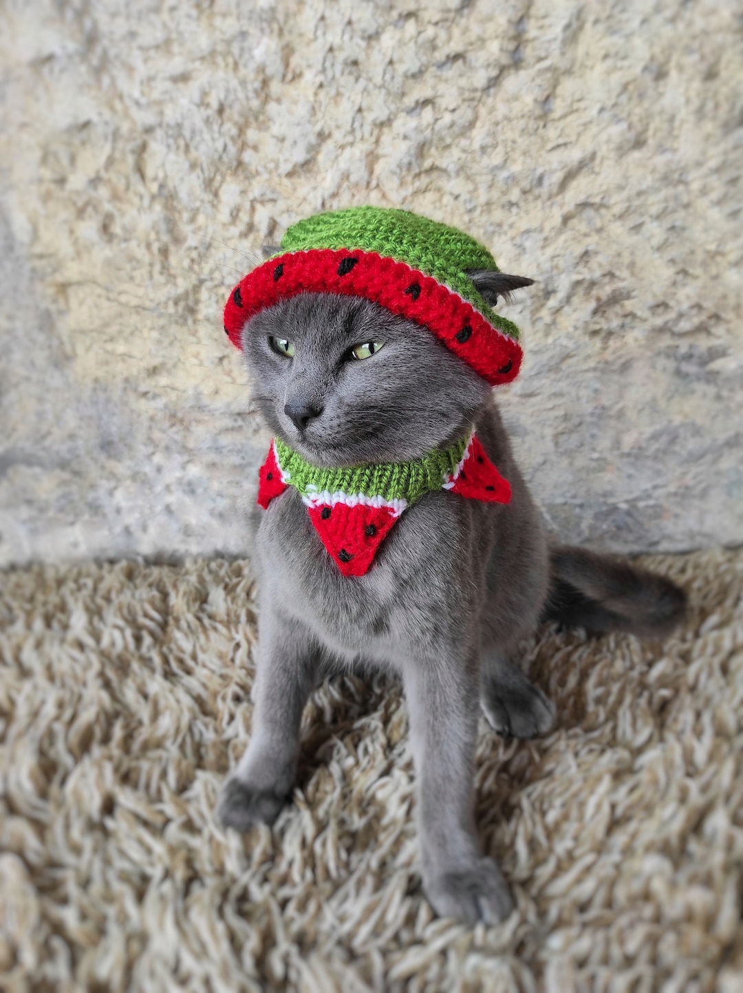 Watermelon Cat Hat, Watermelon Hat for Cat,hat for Cats, Costume for ...