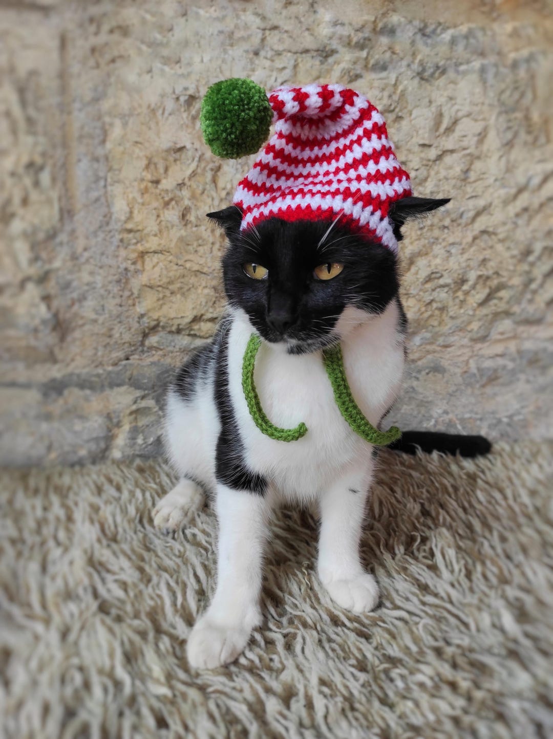 Christmas Elf Cat Hat Crochet Pattern - Digital Download - Etsy Australia