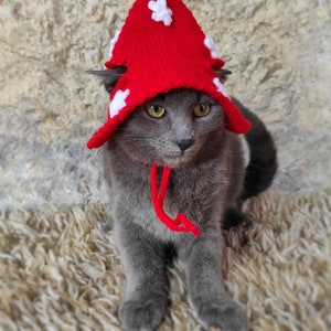Wizard Cat Hat, Wizard Hat for Cat, Wizard Hat for Cats, Costume for ...