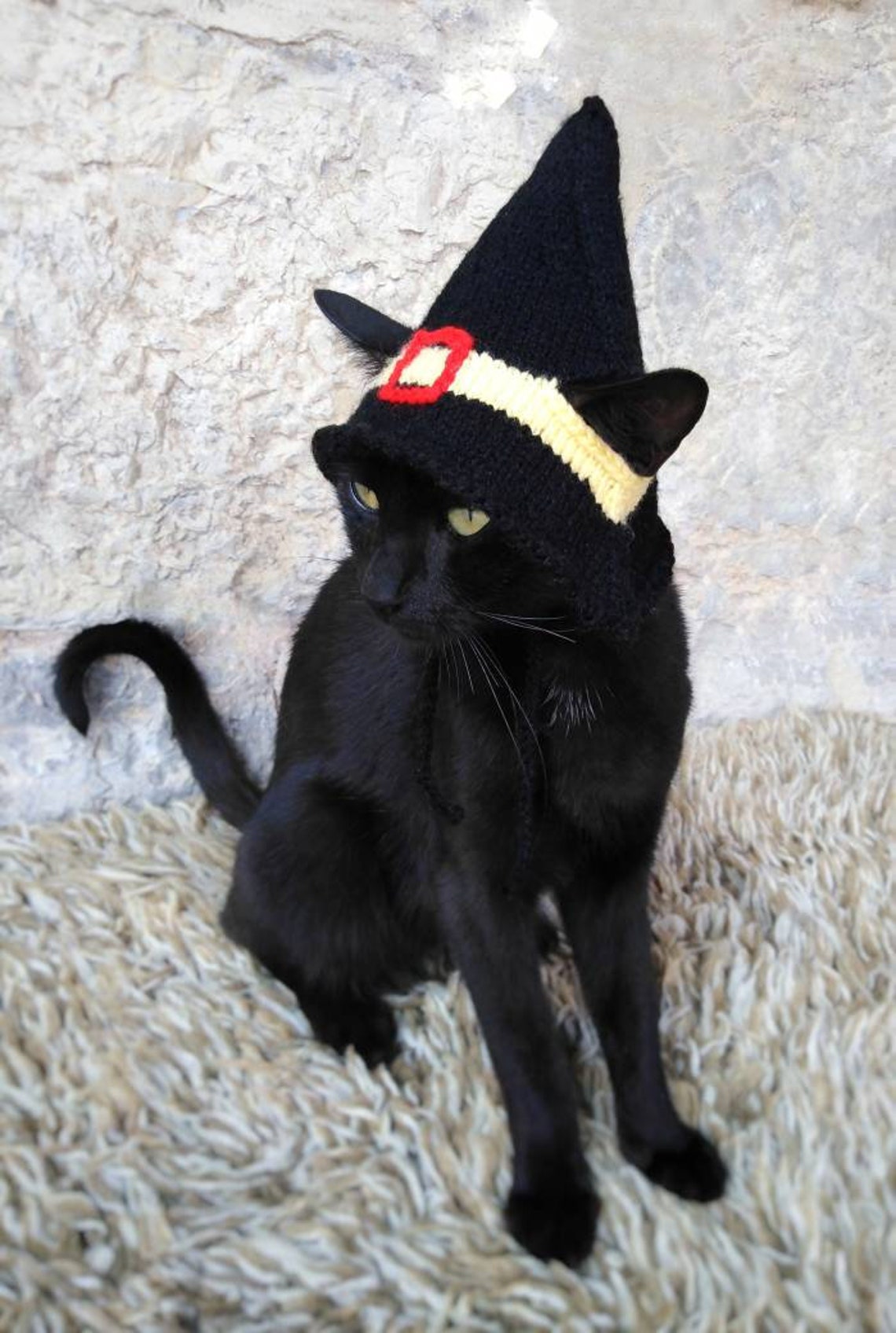 Witch Hat for Cat Pet Costume Cat Halloween Costume Pet - Etsy