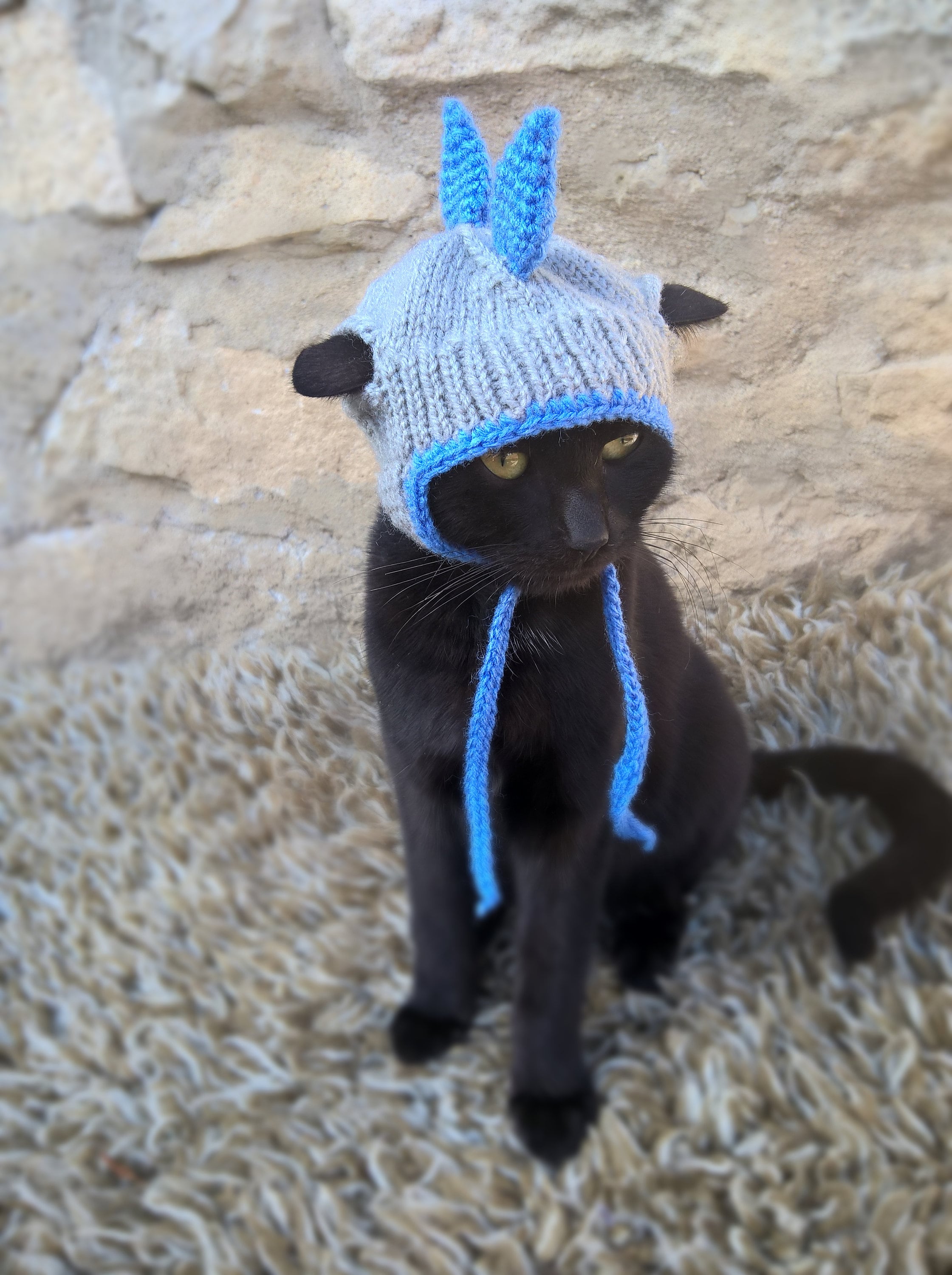 Dinosaur Hat for Cat Pet Costume Blue Dinosaur Costume for - Etsy