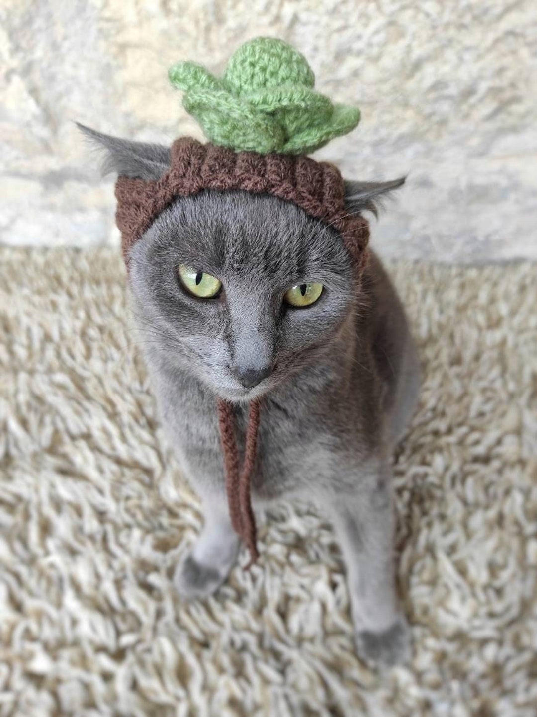 Cappello a forma di cavolo per gatti, cappello a forma di cavolo all ...