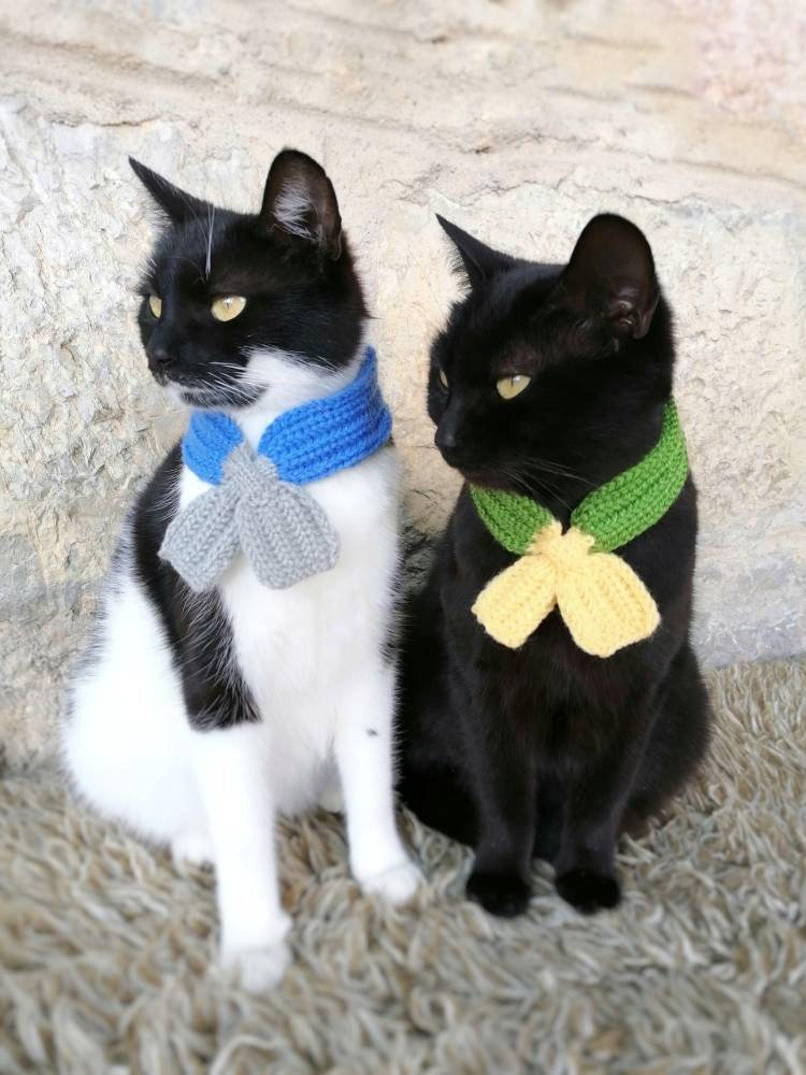 Bufanda para gato Sombrero para gato Disfraces de gato - Etsy España