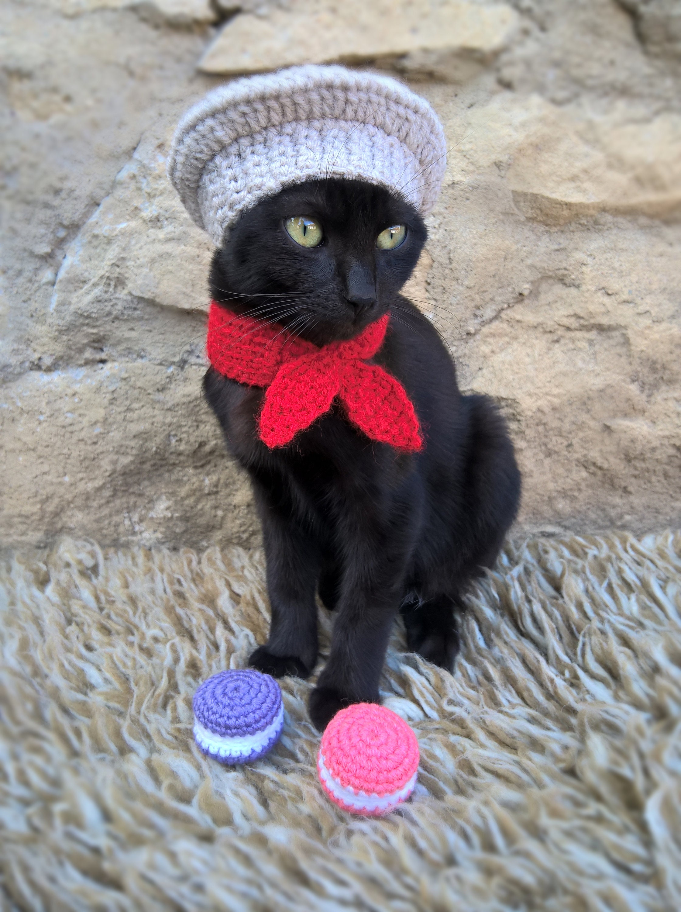 Cat French Beret Hat and Macaron Toys Pet Costume Beret Hat - Etsy UK