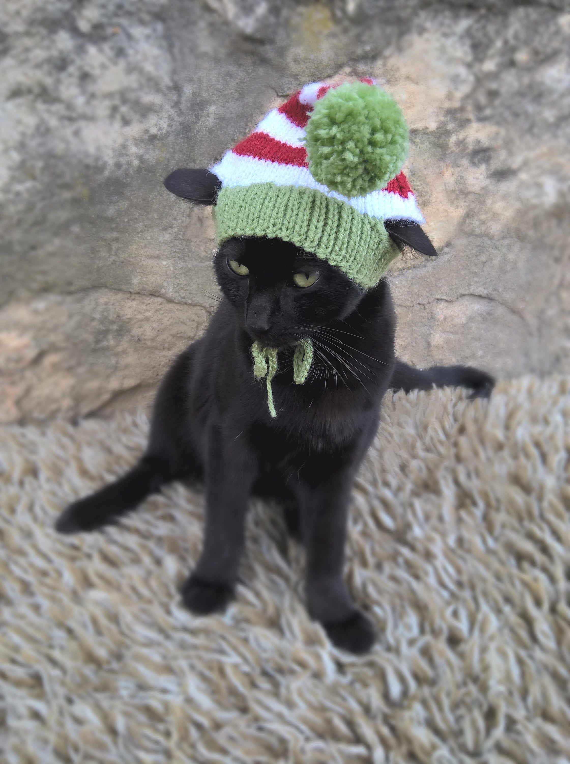 Elf Hat for Cats Christmas Pet Costume Gift for Cat Lovers - Etsy