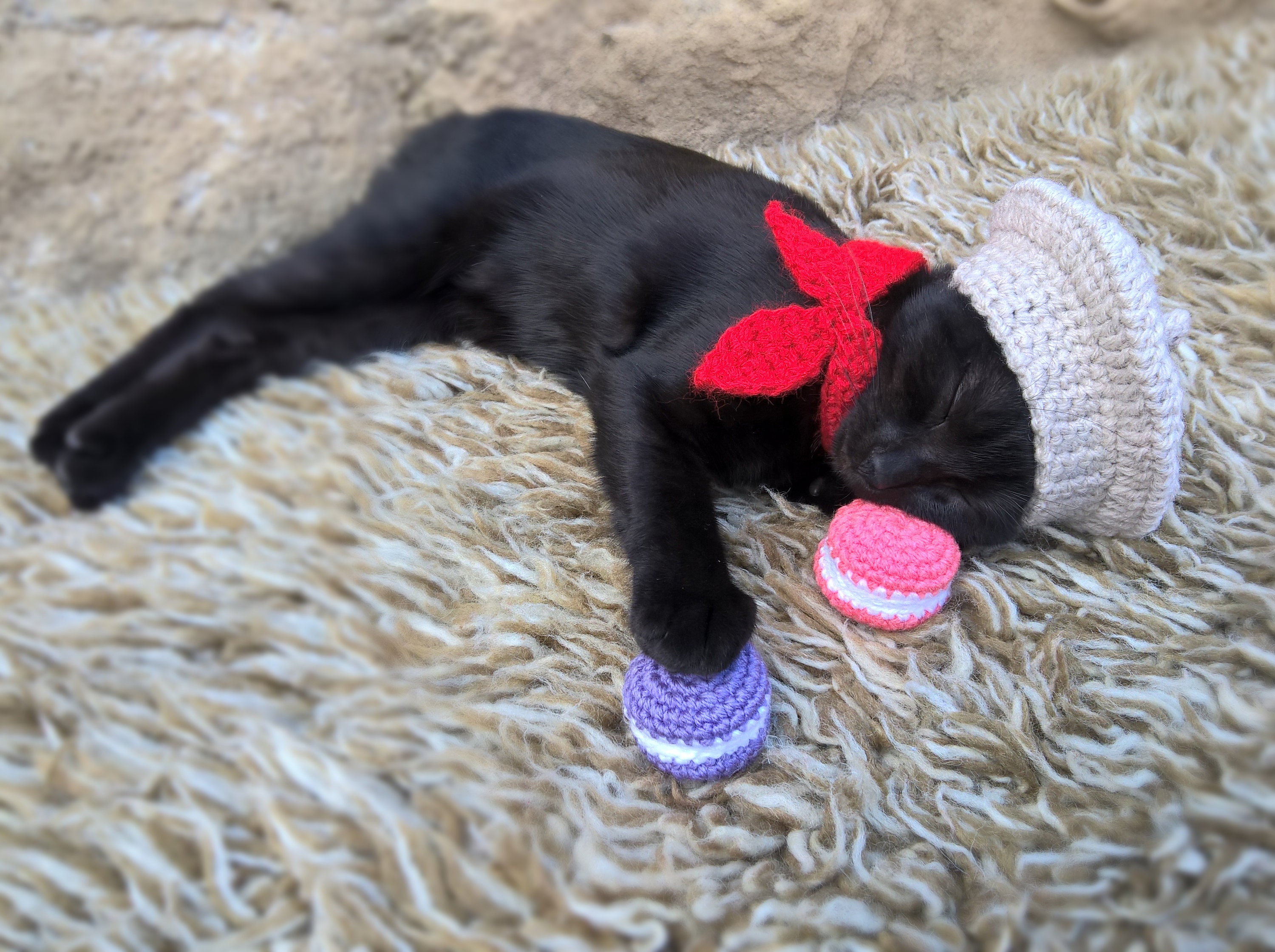 Cat French Beret Hat and Macaron Toys Pet Costume Beret Hat - Etsy UK
