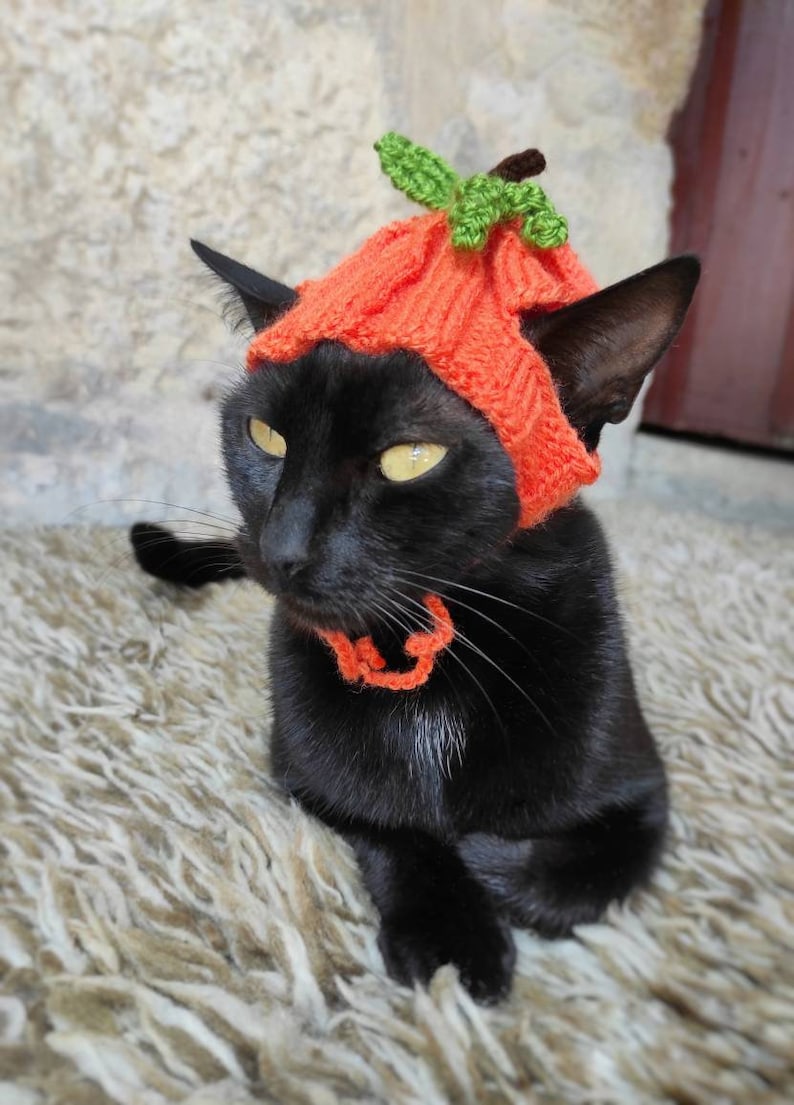 Pumpkin Hat for Cat Pumpkin Pet Costume Halloween Costume | Etsy
