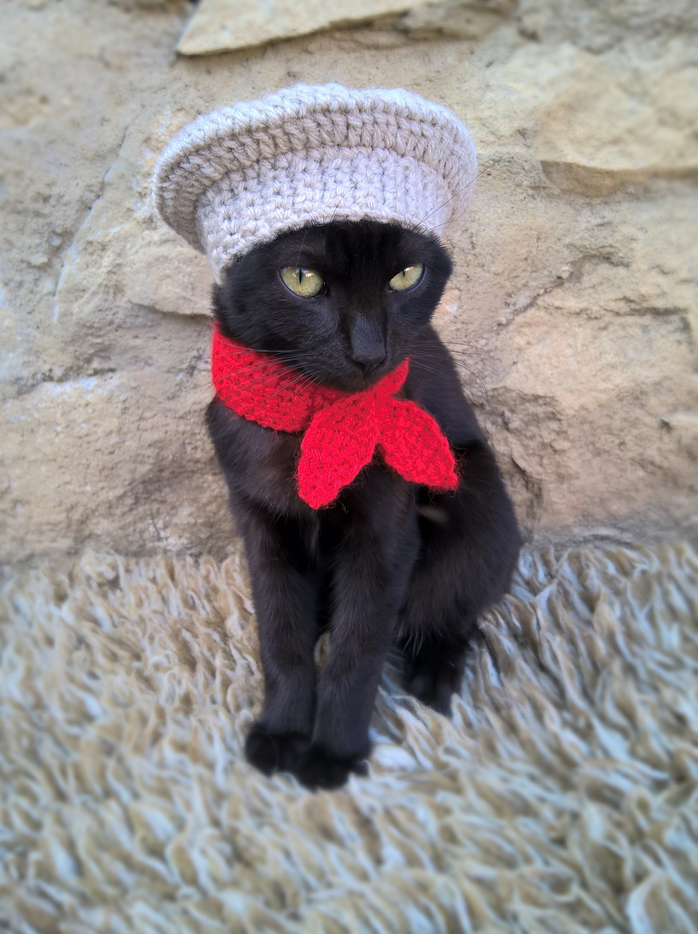 Cat French Beret Hat and Macaron Toys Pet Costume Beret Hat - Etsy UK