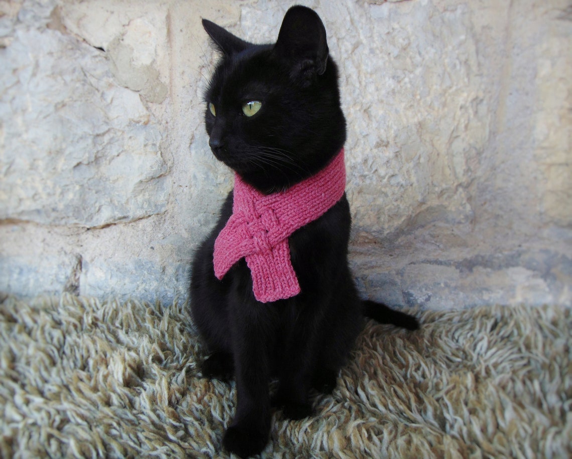 Scarf for Cat Pet Scarf Cat Accessories Kitten Outfit Gift - Etsy