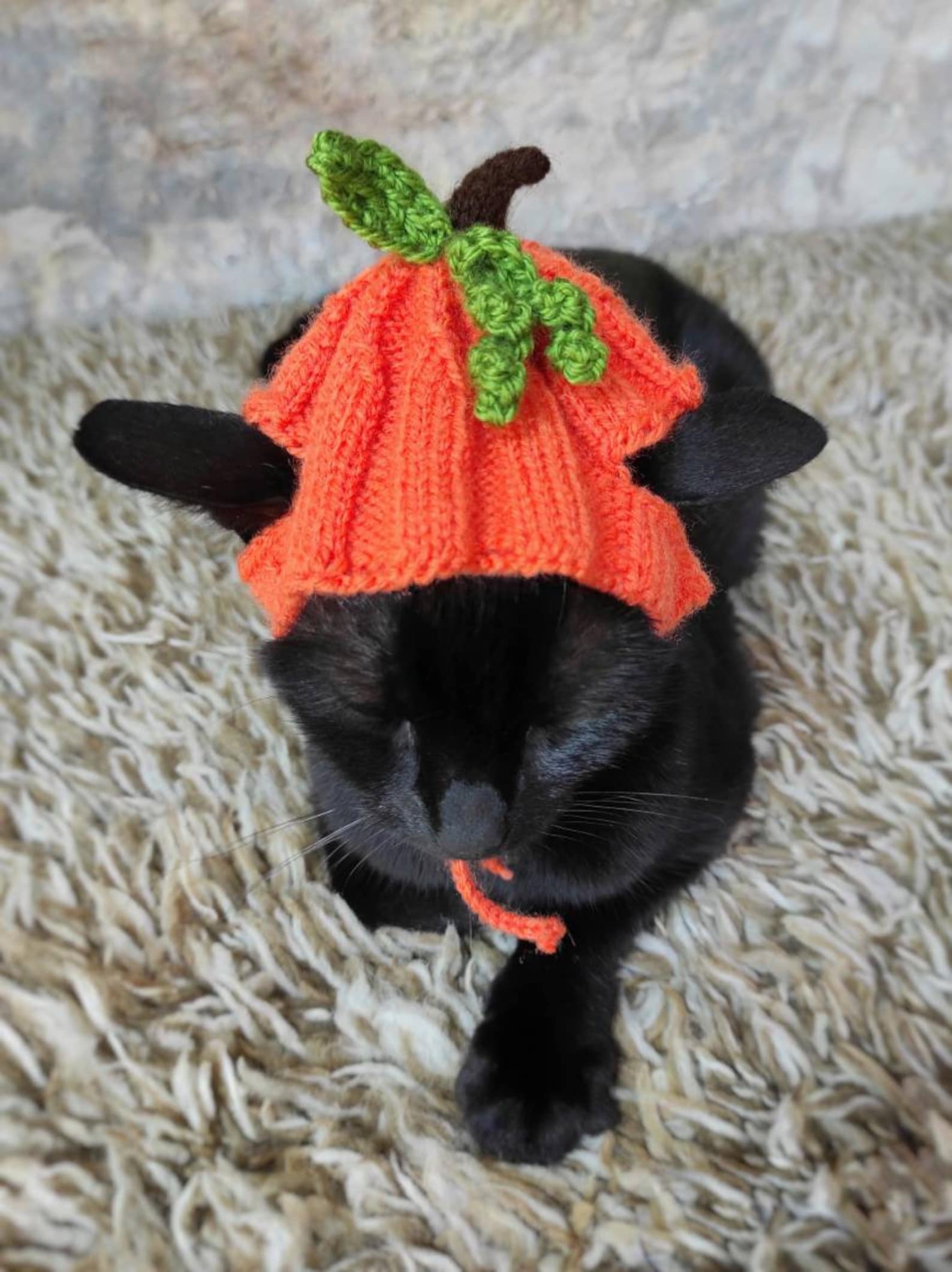 Pumpkin Hat for Cat Pumpkin Pet Costume Halloween Costume | Etsy