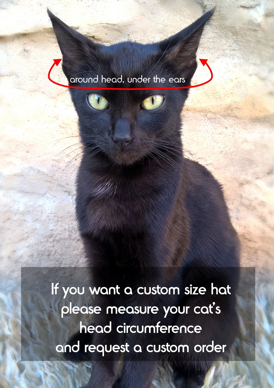 Elf Hat for Cats Cat Elf Costume Christmas Hat for Cat | Etsy