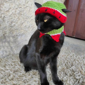 Watermelon Cat Hat, Watermelon Hat for Cat,hat for Cats, Costume for ...