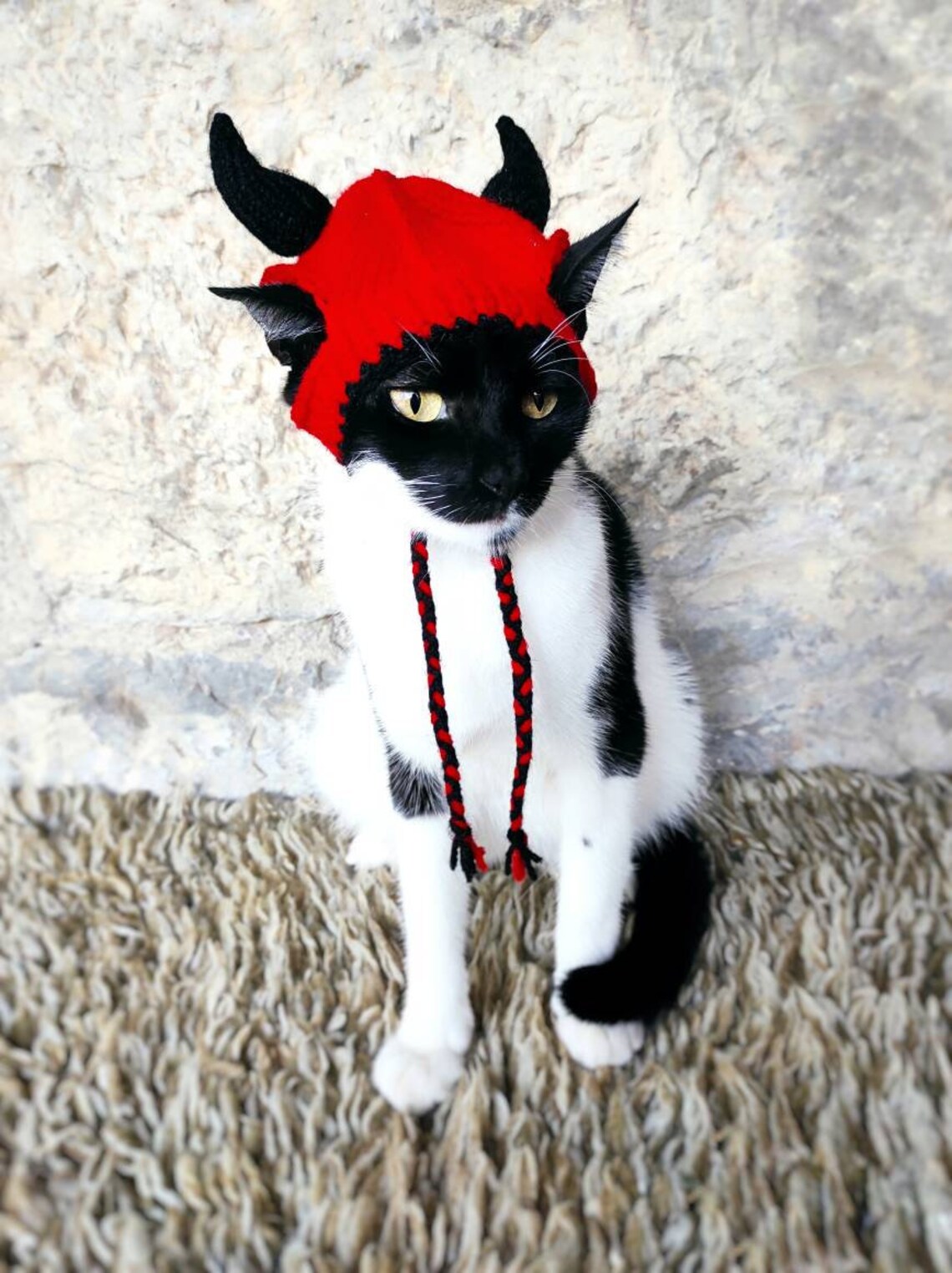 Devil Hat for Cat Devil Pet Costume Cat Outfit Feline - Etsy