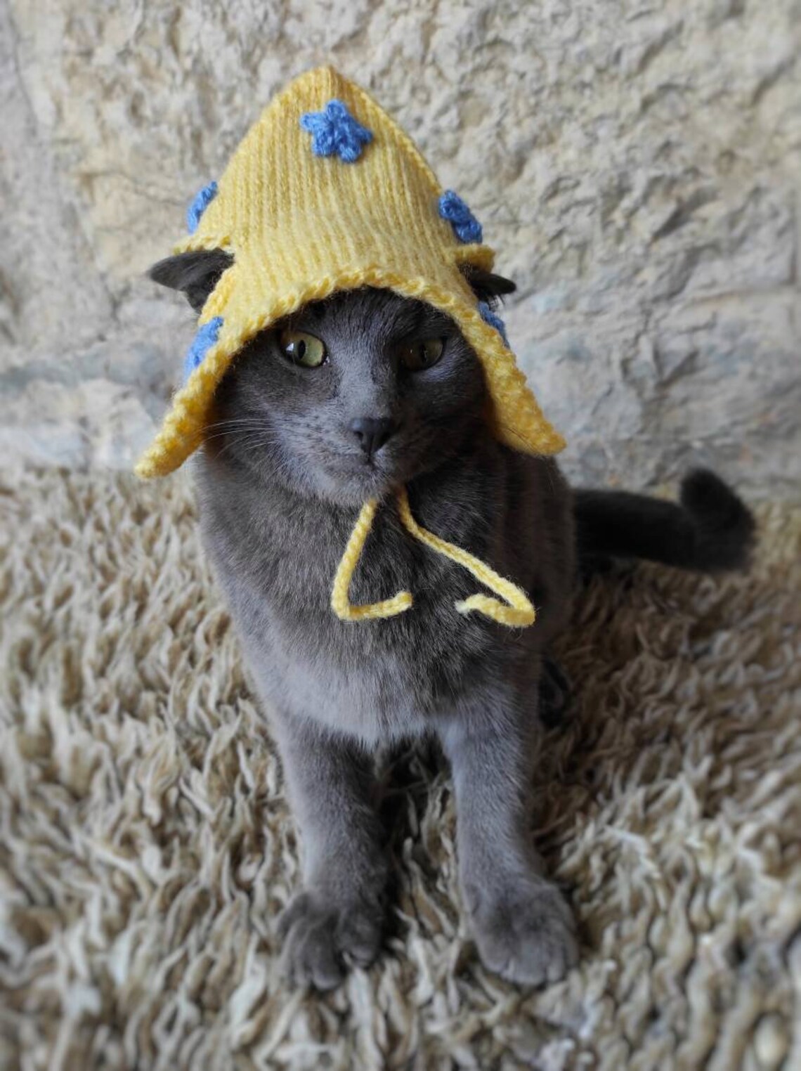 Wizard Cat Hat Wizard Hat for Cat Wizard Hat for Cats | Etsy
