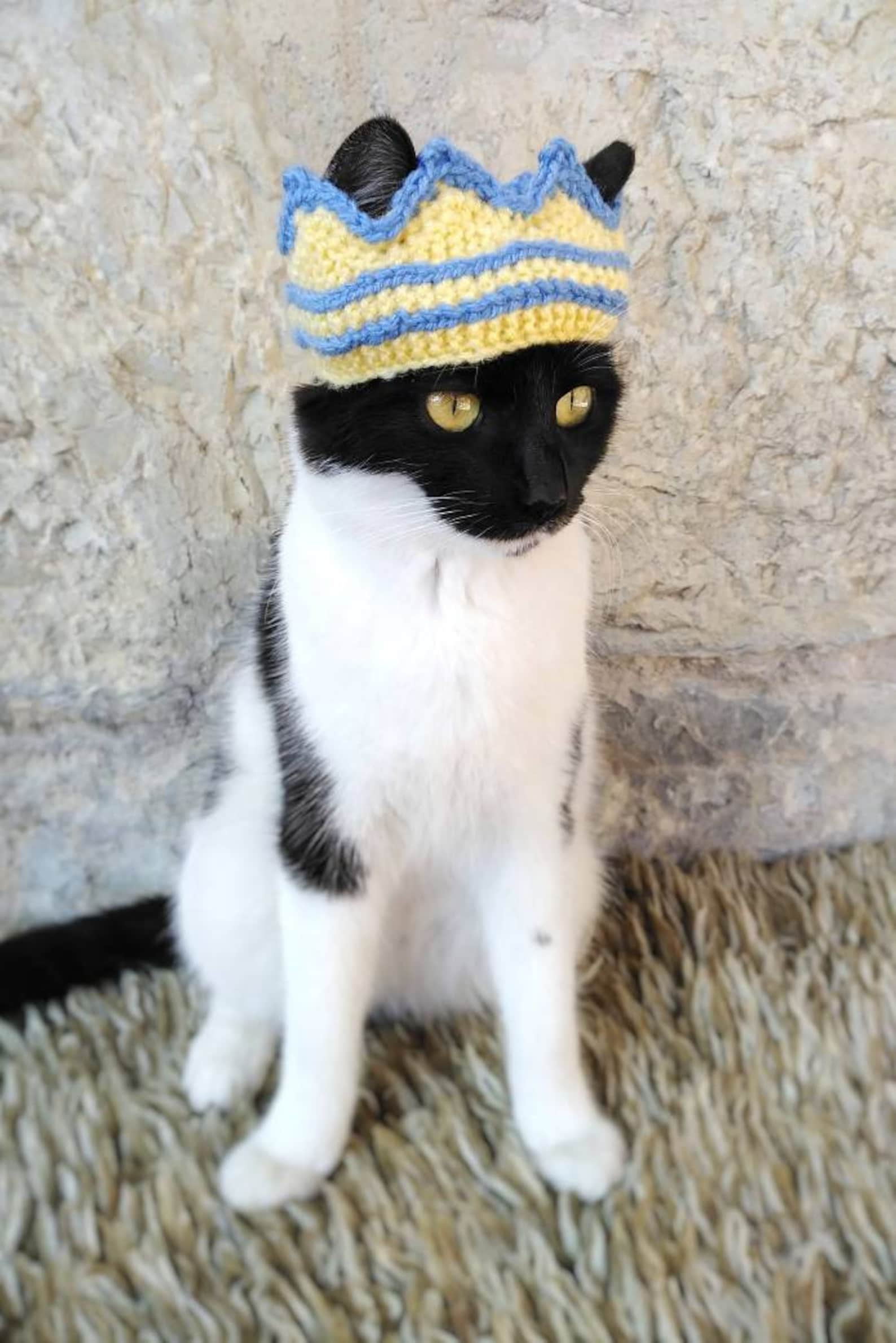 Cat Crown Tiara for Cat Princess King Queen Crown for | Etsy