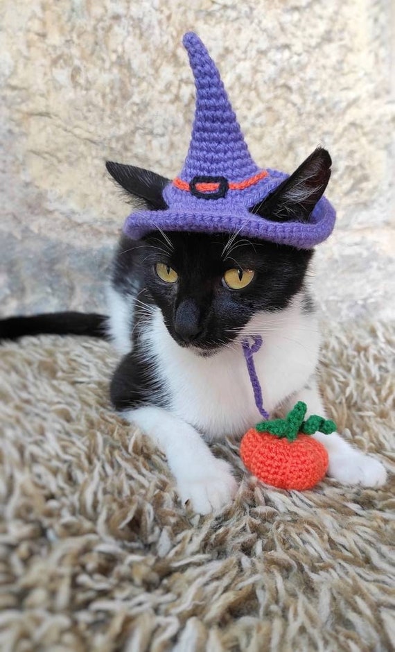 Witch Hat With Pumpkin Toy Witch Hat for Cats Costume for - Etsy