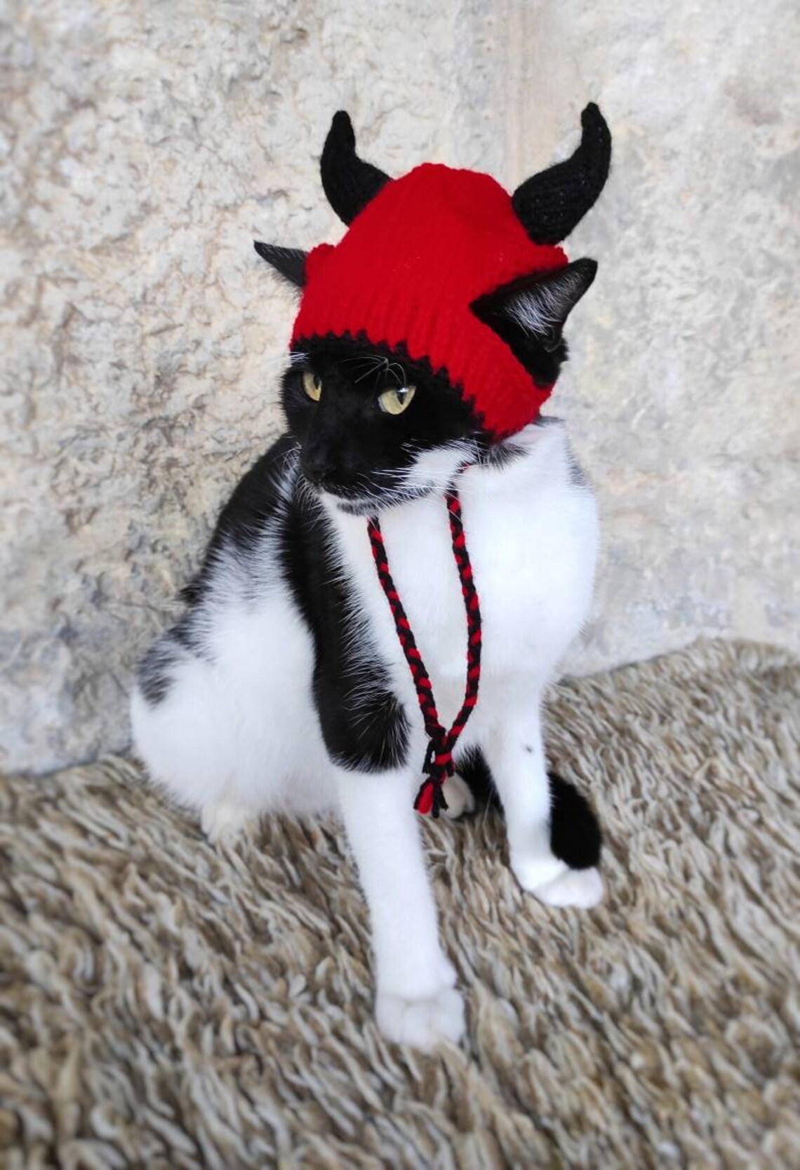 Devil Hat for Cat Devil Pet Costume Cat Outfit Feline - Etsy