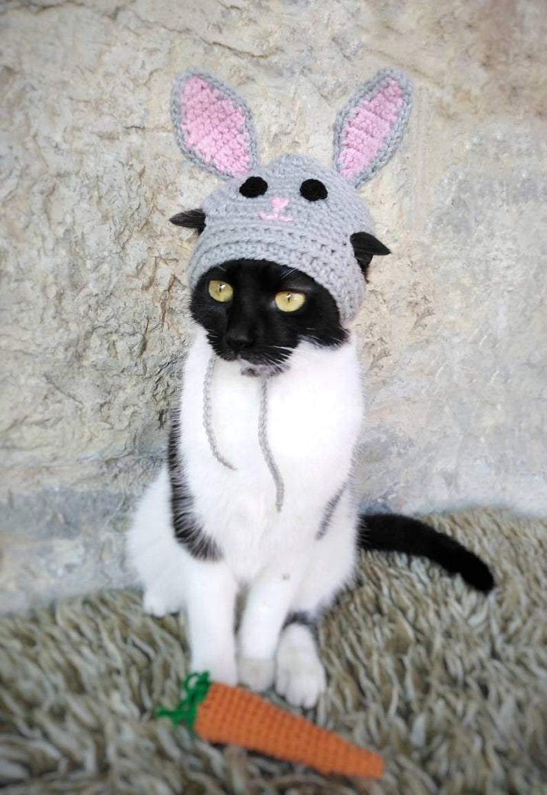 Bunny Hat for Cat and Carrot Toy Easter Bunny Hats for Cats - Etsy