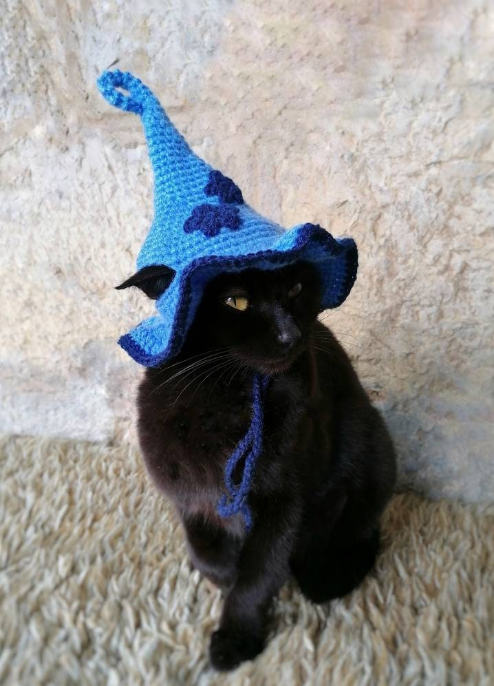 Witch Hat for Cat Blue Pet Costume Cat Halloween Costume - Etsy Canada