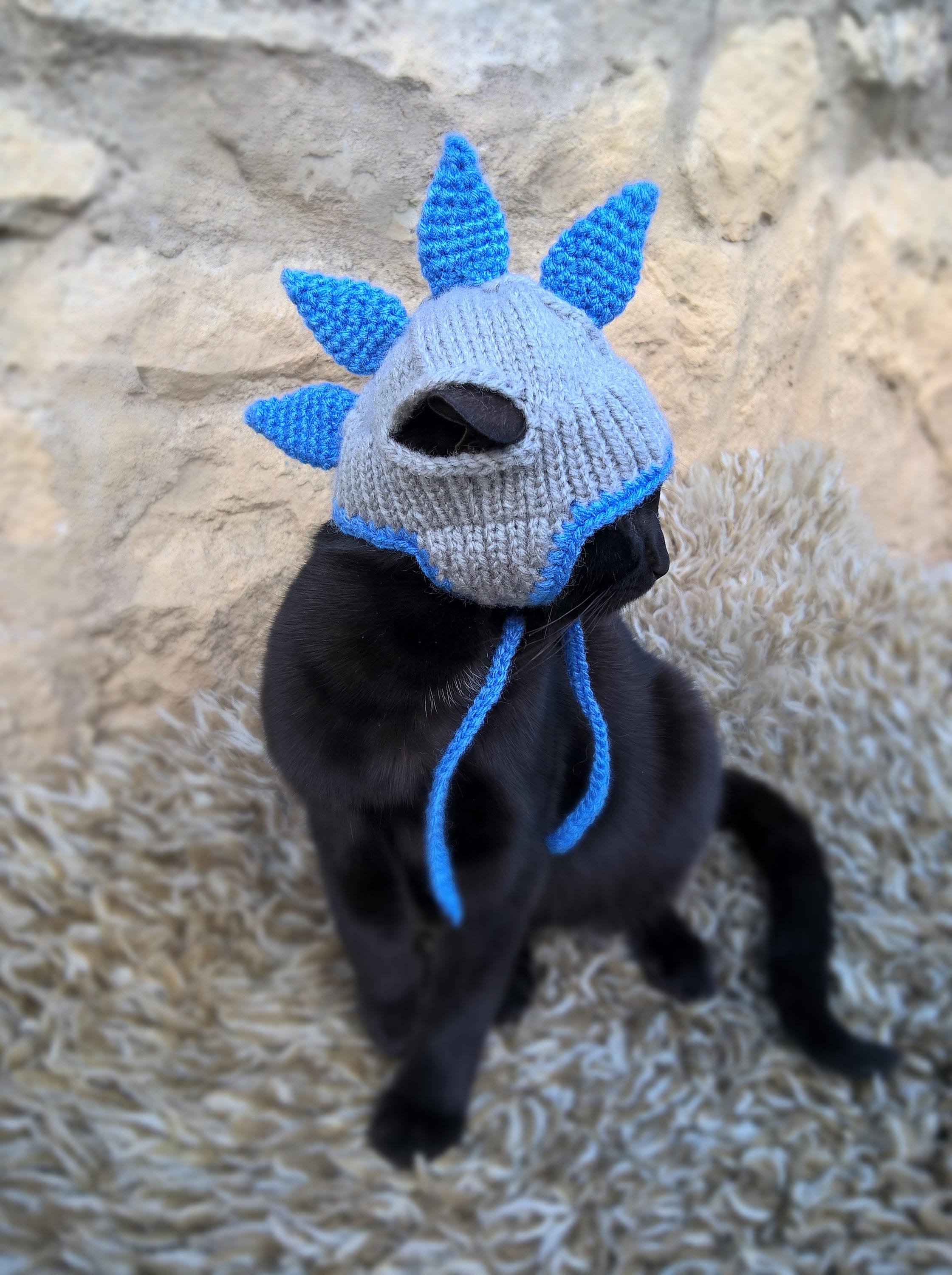 Dinosaur Hat for Cat Pet Costume Blue Dinosaur Costume for - Etsy