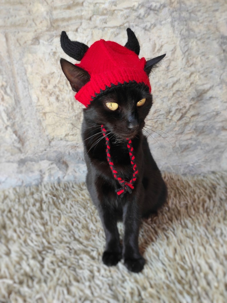 Devil Hat for Cat Devil Pet Costume Cat Outfit Feline - Etsy