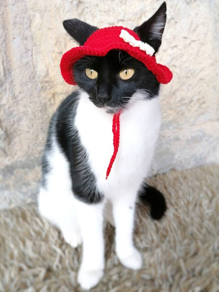 Cotton Summer Hat for Cat Hat Pet Hat Crochet Summer Hat Pet - Etsy