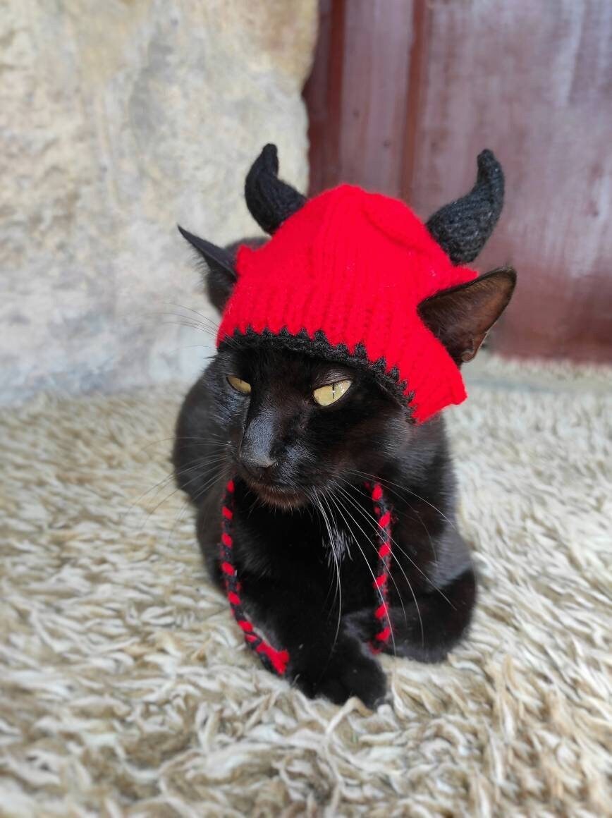 Devil Hat for Cat Devil Pet Costume Cat Outfit Feline - Etsy