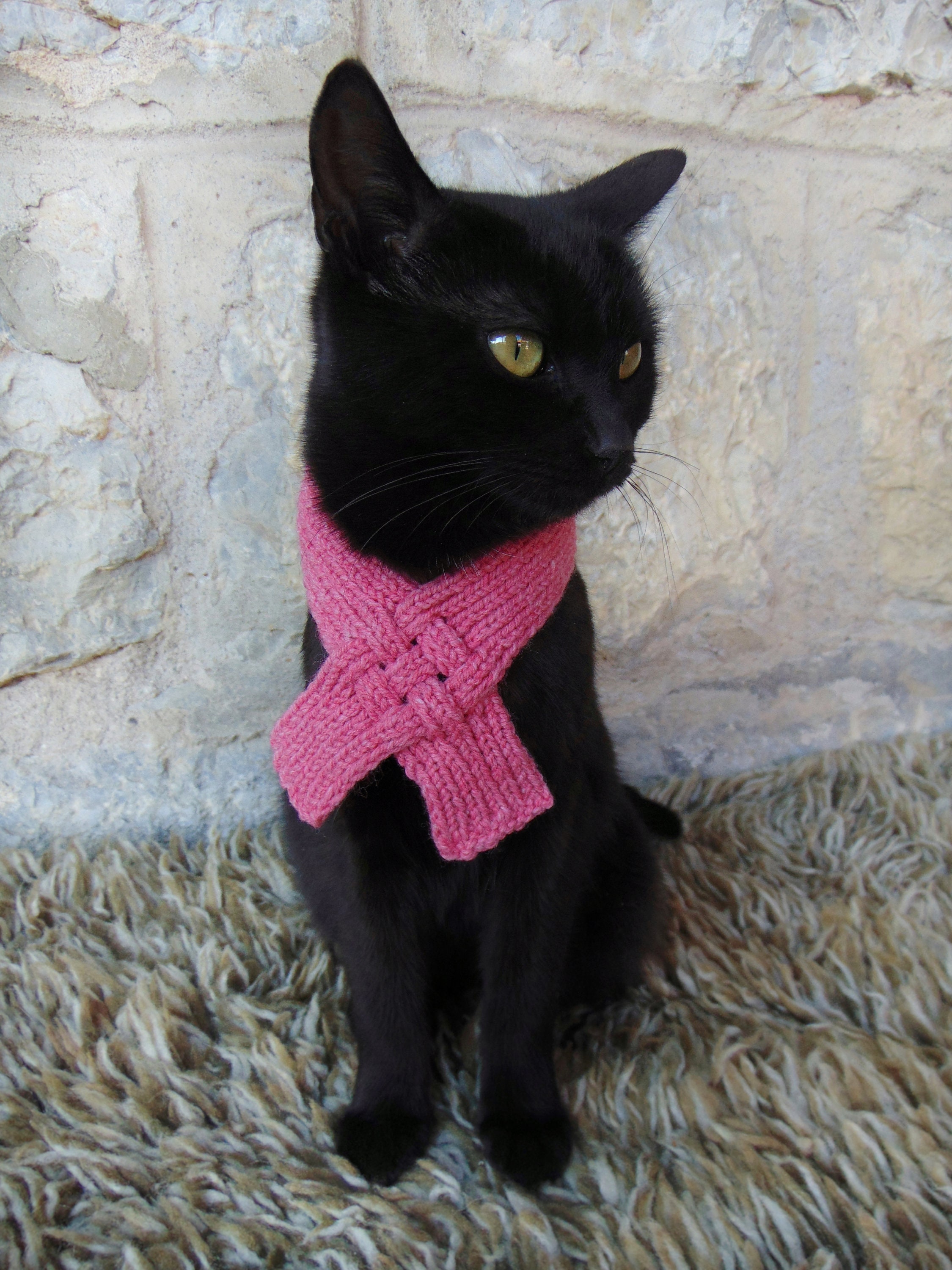 Handmade Knitted Cat Scarf: Pet Outfit Accessory - Etsy