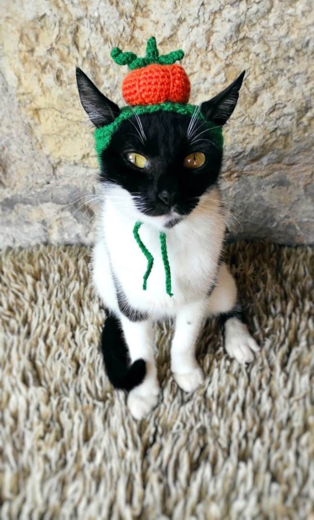 Pumpkin Hat for Cat, Pumpkin Pet Costume, Halloween Costume for Cat ...