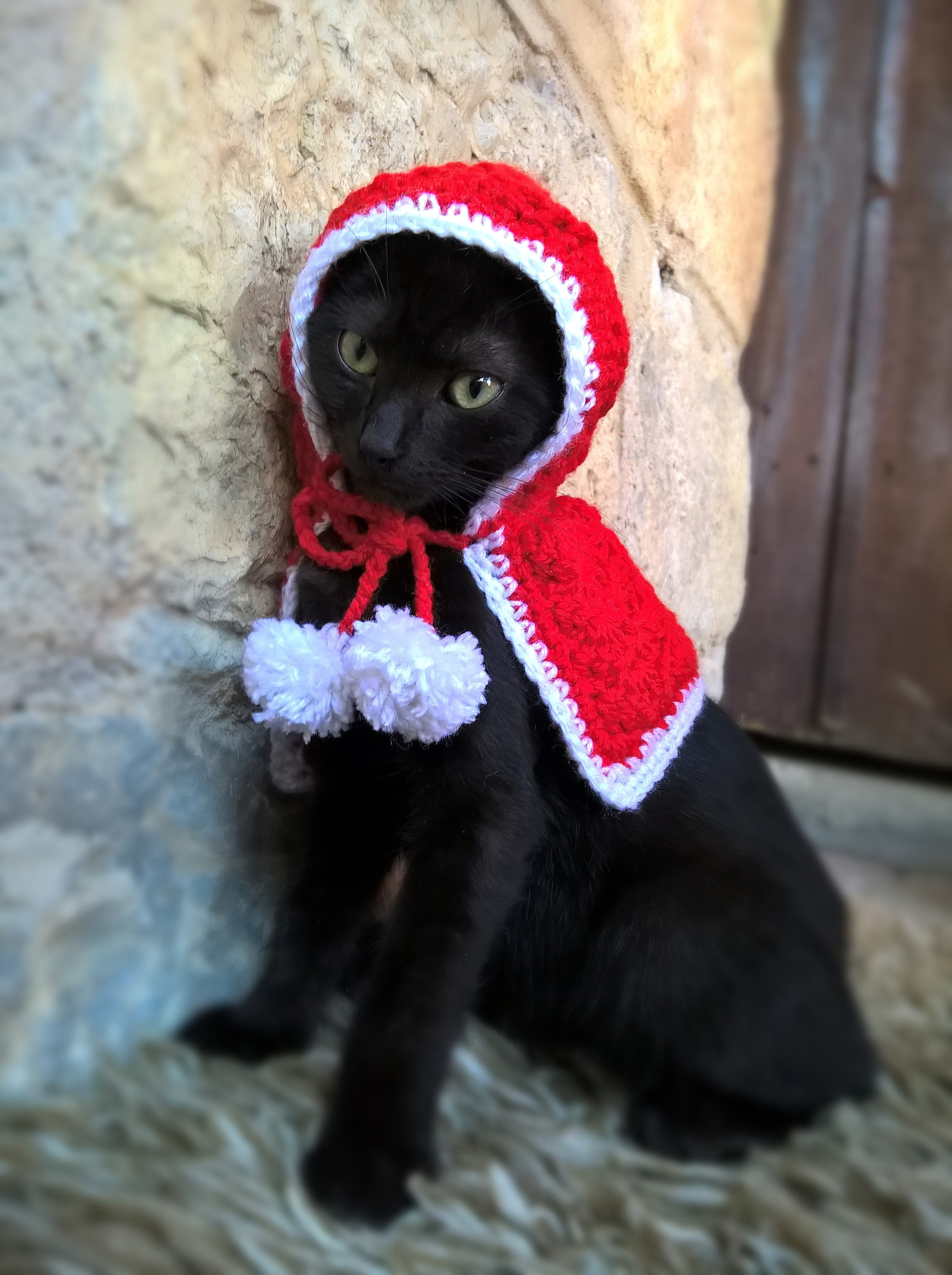 Little Red Riding Hood Cat Costume Pet Costume Cat Halloween | Etsy