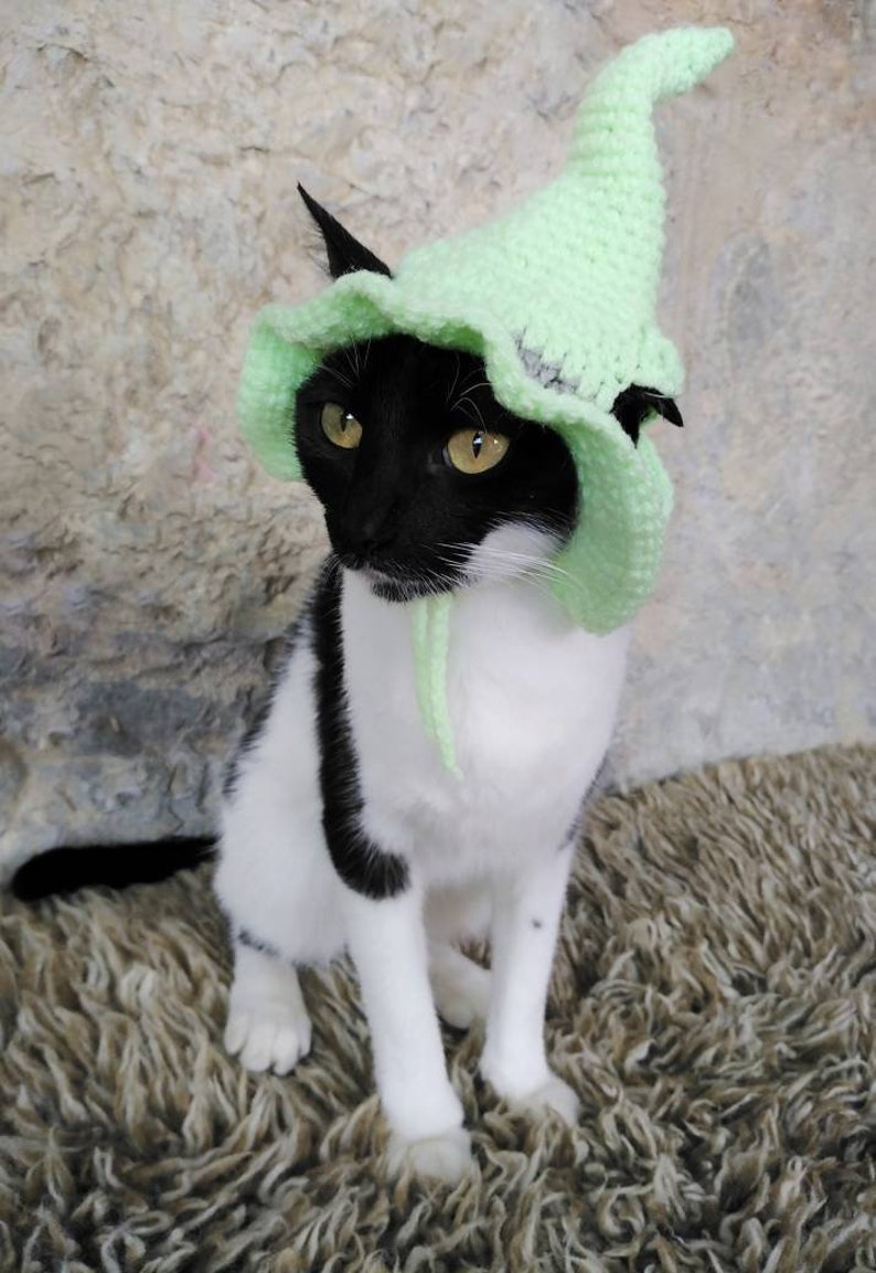 Witch Hat for Cat Neon Green Witch Pet Costume Cat | Etsy