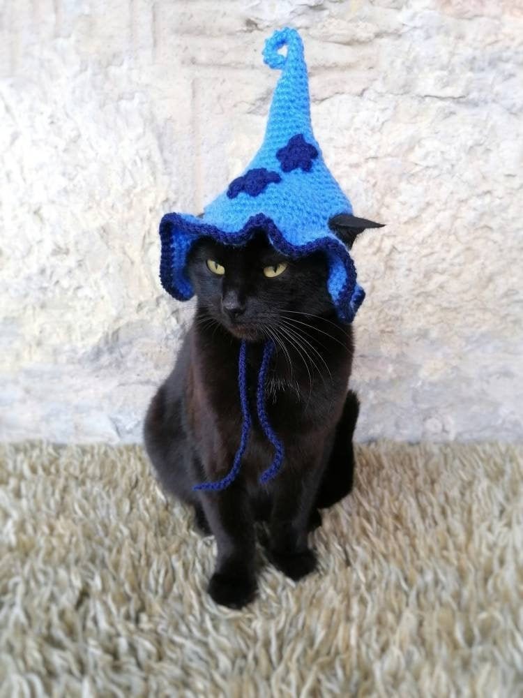 Witch Hat for Cat Blue Pet Costume Cat Halloween Costume - Etsy Canada