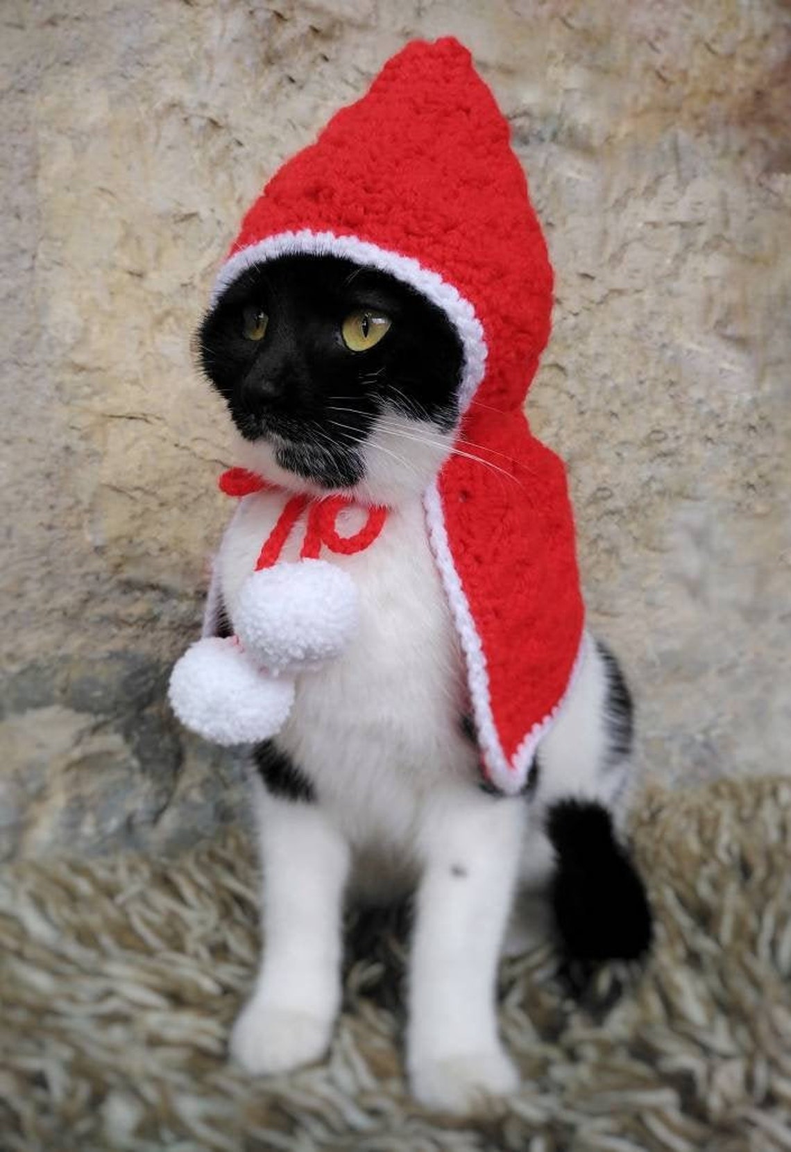 Little Red Riding Hood Cat Costume Pet Costume Cat Halloween | Etsy Canada