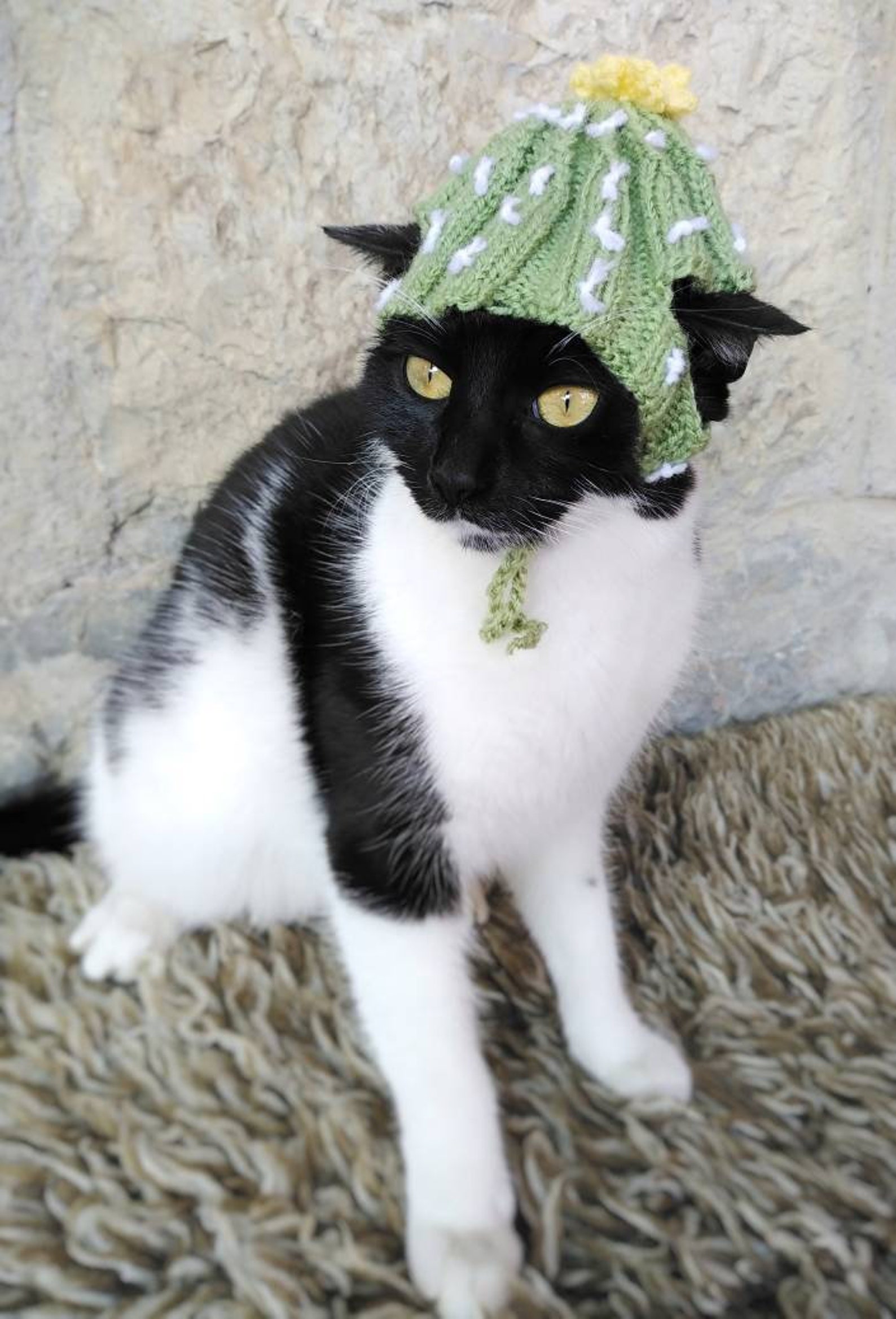 Cactus Cat Hat Flower Hat For Cat Halloween Costumes For | Etsy
