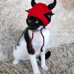 Devil Hat for Cat, Devil Pet Costume, Cat Outfit, Feline Accessory ...