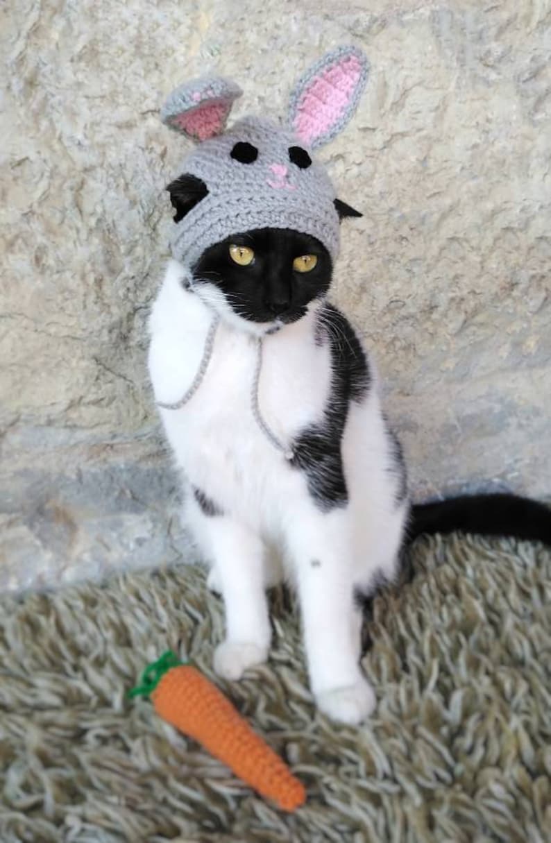 Bunny Hat for Cat and Carrot Toy Easter Bunny Hats for Cats - Etsy