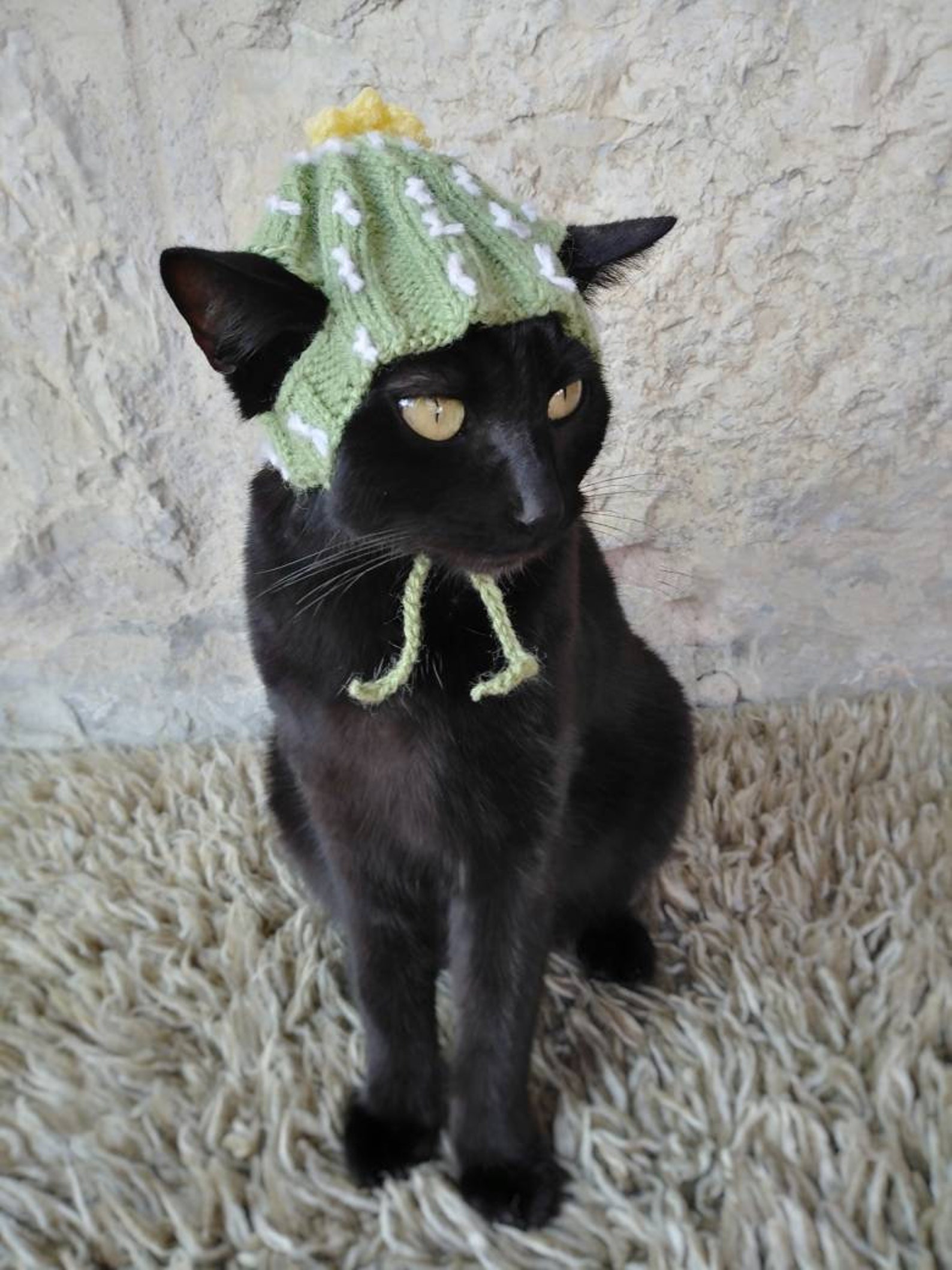 Cactus Cat Hat Flower Hat For Cat Halloween Costumes For | Etsy